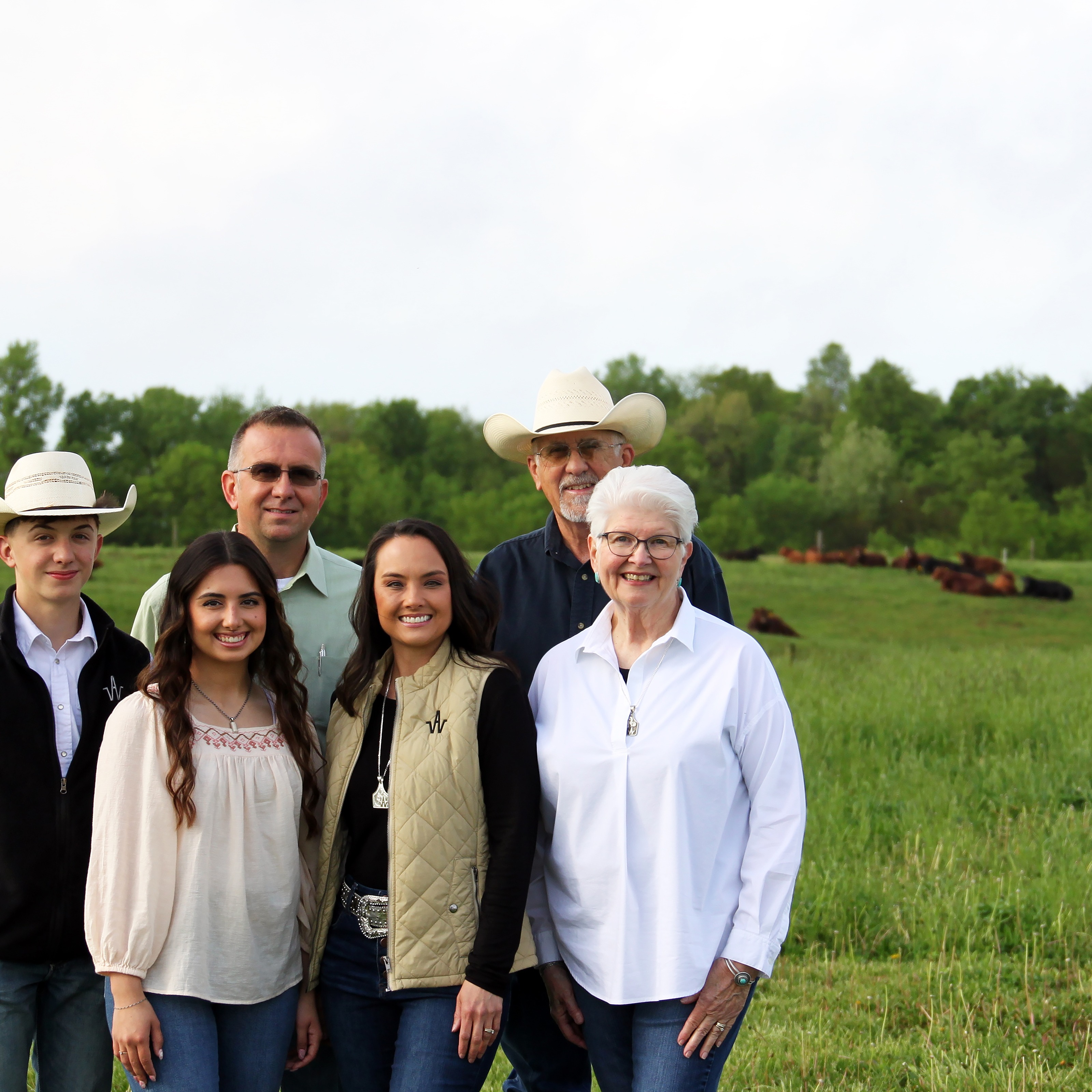 Illinois Beef Association